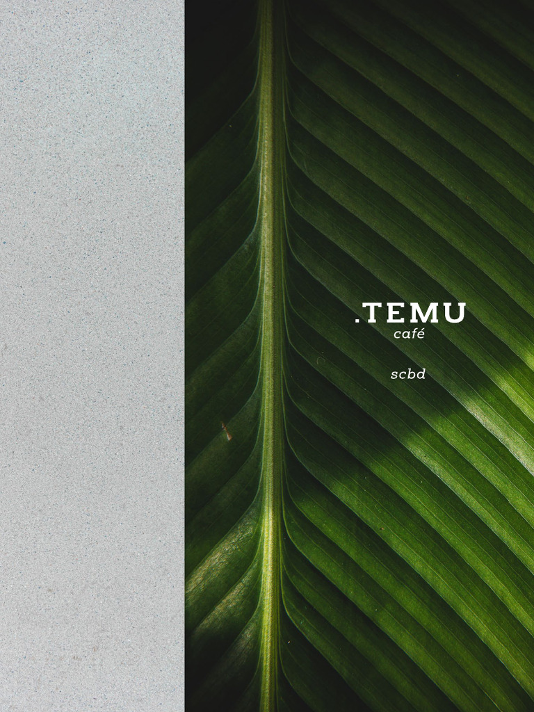 Menu Temu Cafe - SCBD | PDF | Indonesian Cuisine | Waffle