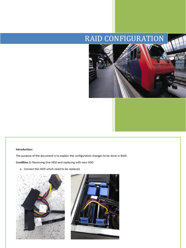 Raid Pdf