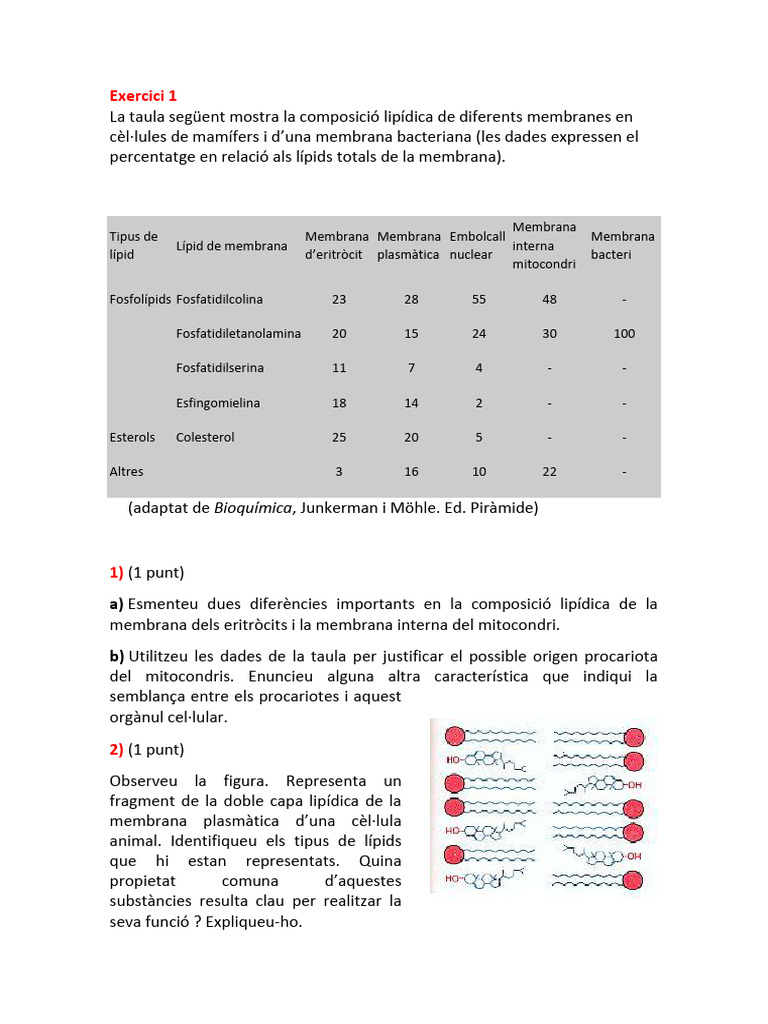Exercicis Lípids | PDF