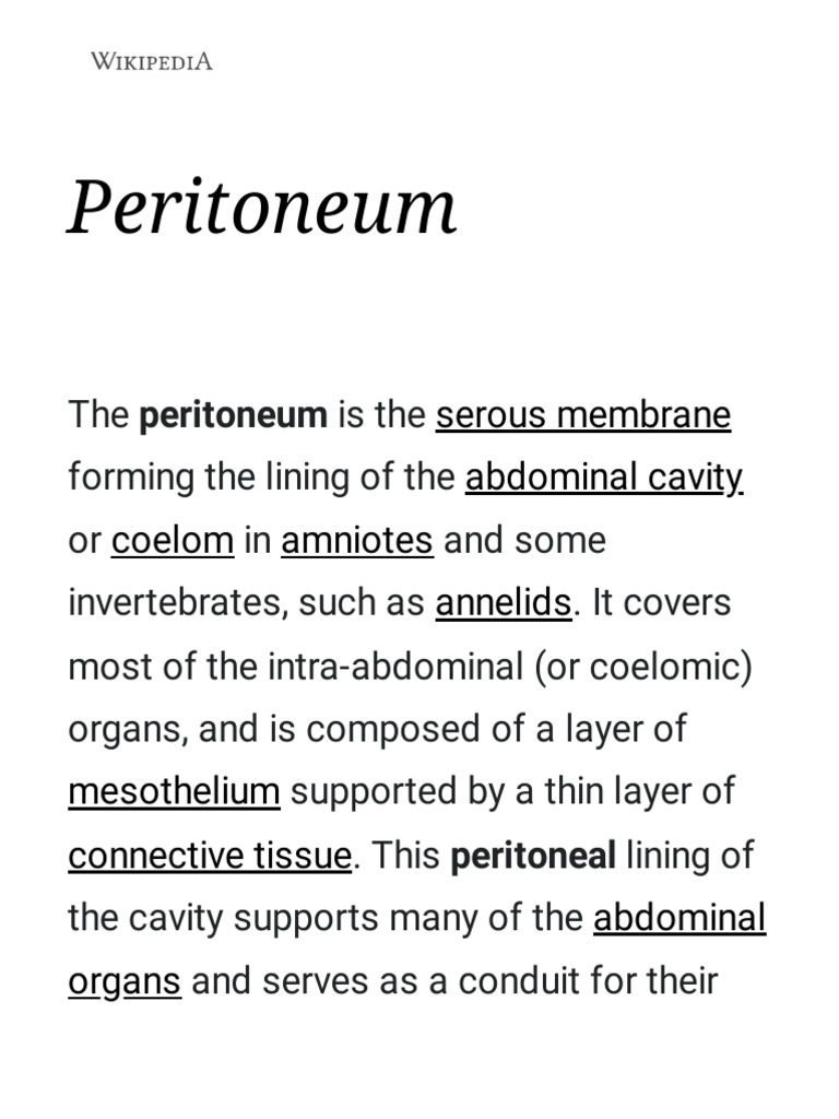 Peritoneum - Wikipedia | Download Free PDF | Peritoneum | Abdomen