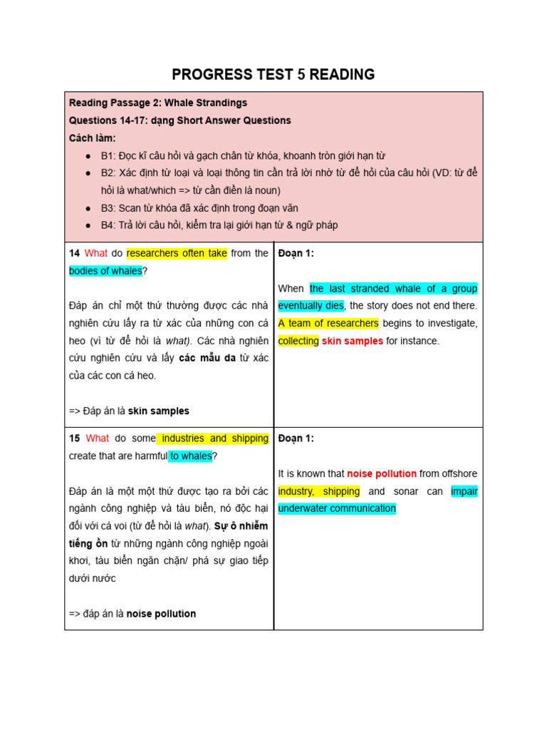 PG5 Read - Viet Dung | PDF