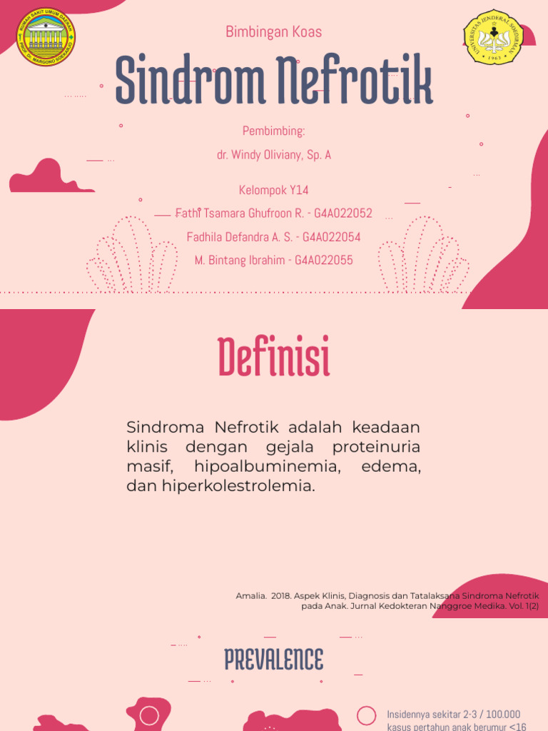 Biko Sindrom Nefrotik - Y14 | PDF