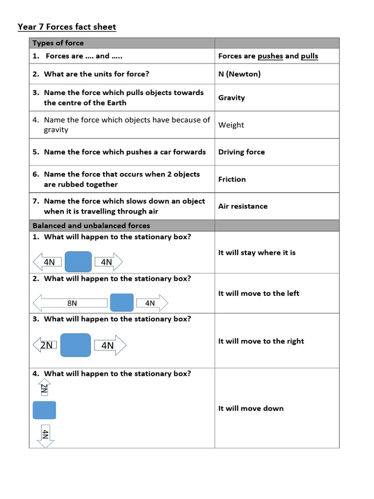 Year-7-Forces Questions t-3 | PDF | Force | Speed
