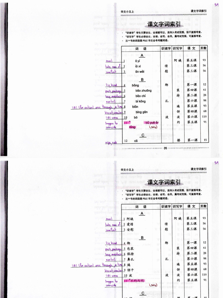 Chinese Vocabulary 5A and 5B | PDF