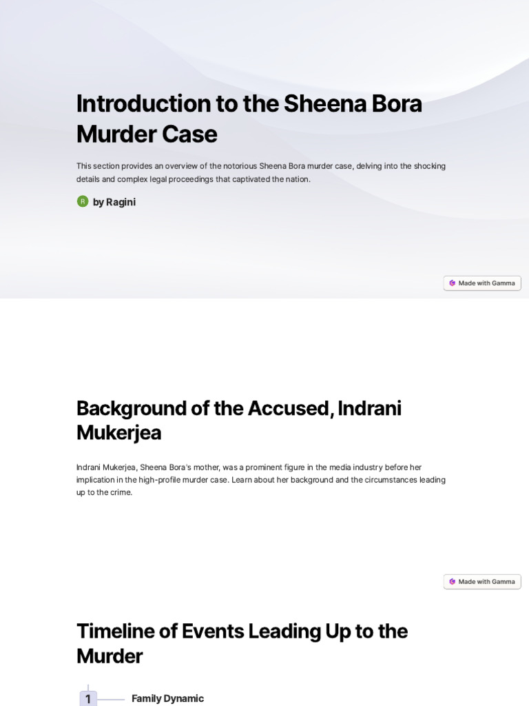Overview of the Sheena Bora Case | PDF