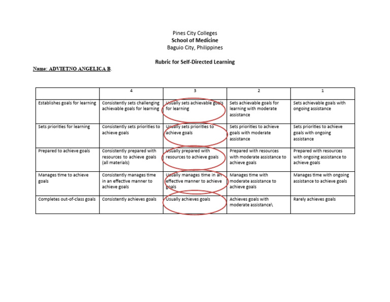 Rubric For Self Directed Learning | PDF | Education Theory | Behavior ...