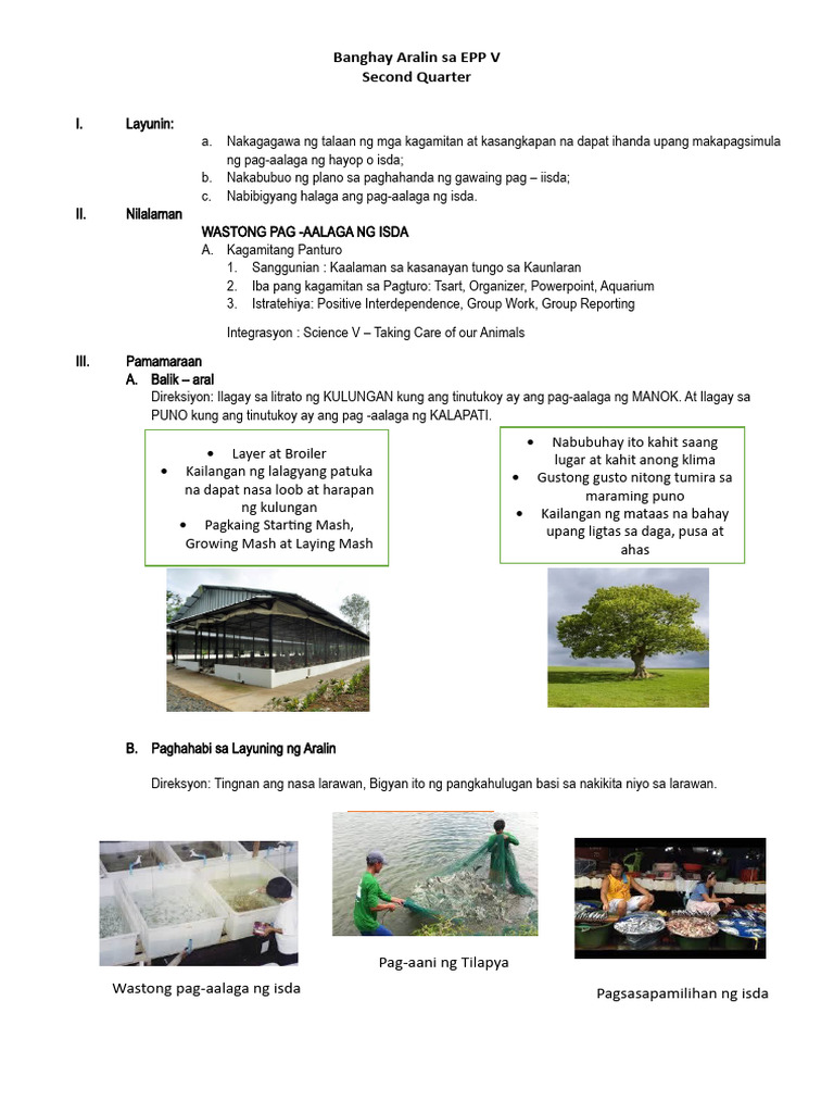 Banghay Aralin Sa EPP V | PDF