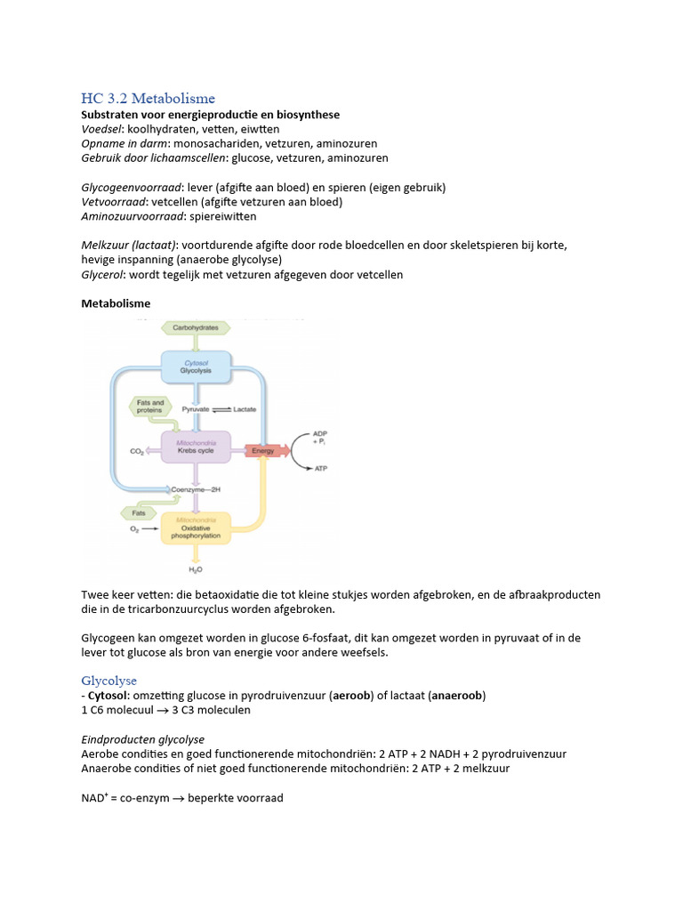 HC 3.2 Metabole Routes | PDF