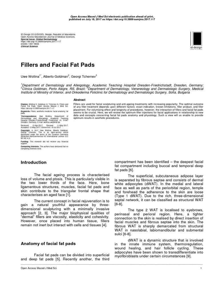 Fillers y Facial Pads | PDF | Adipocyte | Adipose Tissue