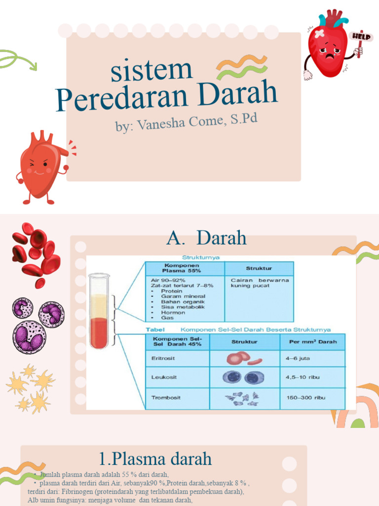 Sistem Peredaran Darah Manusia | PDF