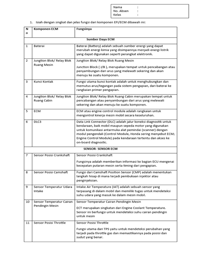 Fungsi ECM dalam Sistem EFI | PDF