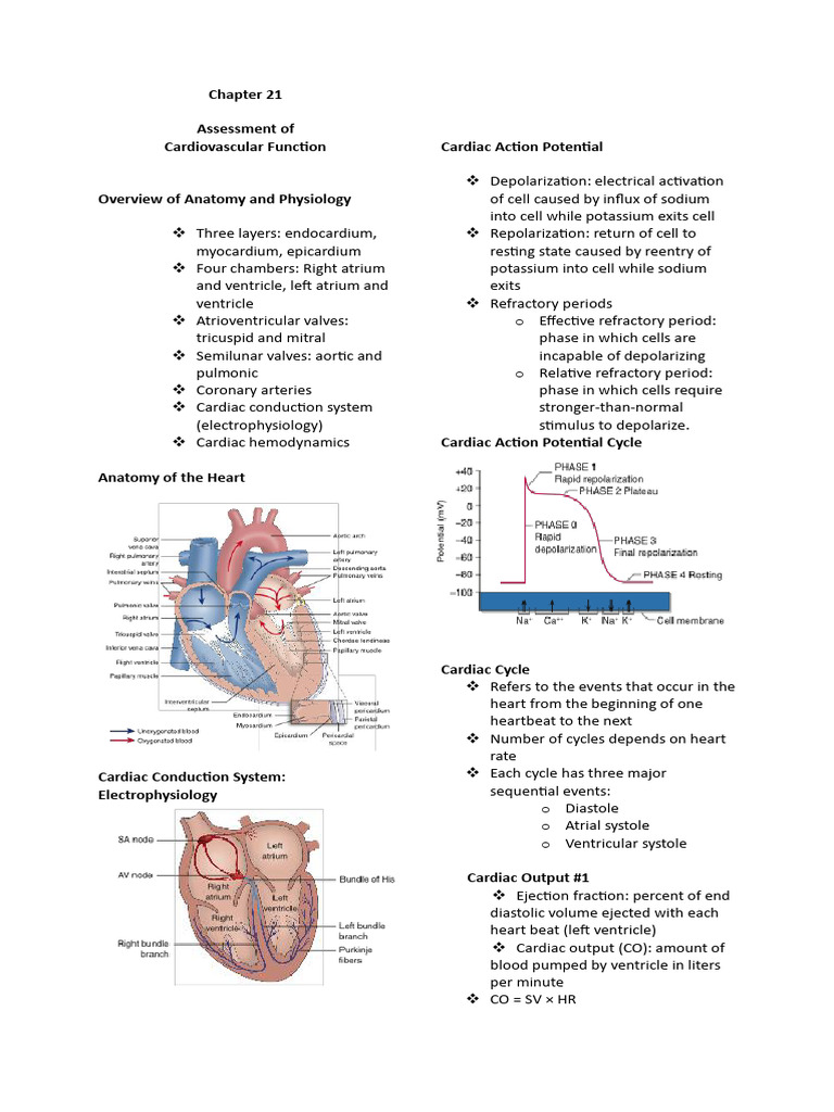 MS Cardio Lecture EDITEDD | PDF | Heart | Myocardial Infarction