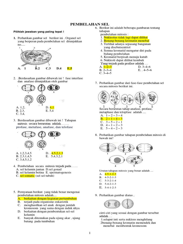 Jawaban SOAL Latihan Tutor Sebaya Klas XI Bio | PDF