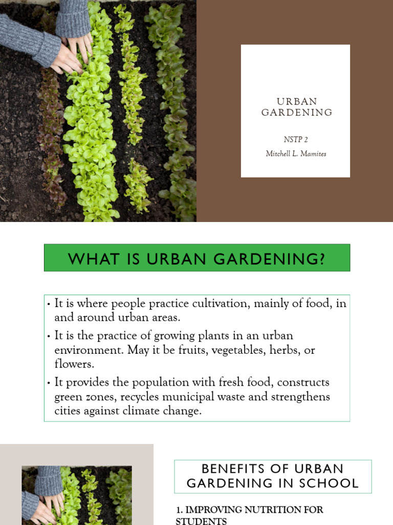 Urban Gardening | PDF | Mulch | Urban Agriculture
