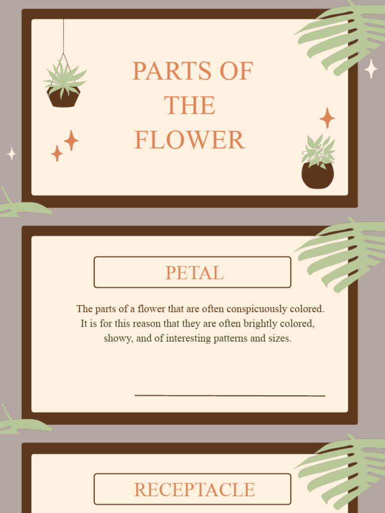 Anatomy and Functions of Flower Parts | PDF | Flowers | Morphology ...