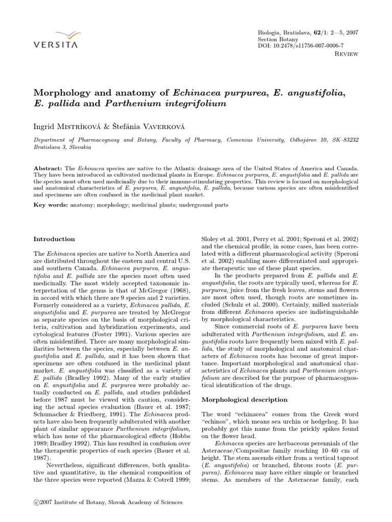 21)Morphology and Anatomy | PDF | Eukaryotes | Organisms