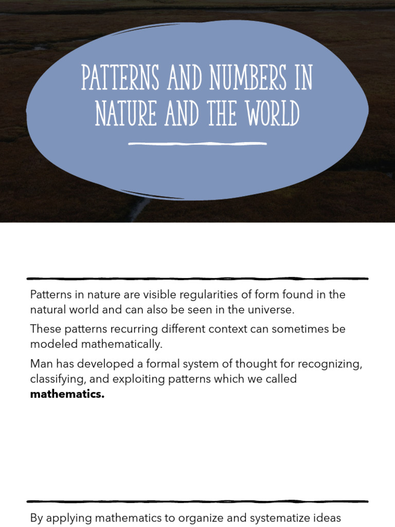 Patterns and Numbers in Nature and The World | PDF | Dune | Pattern