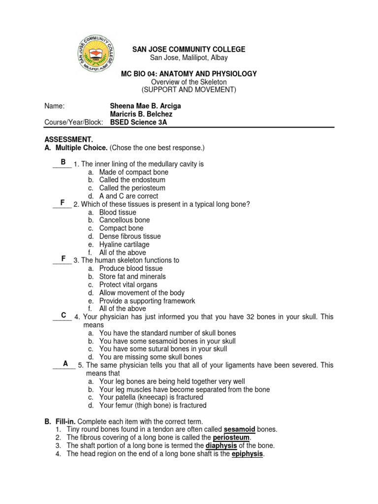 Bsed Sci 3a-Arciga-Belchez-Mc Bio 4-Overview of The Skeleton | PDF ...