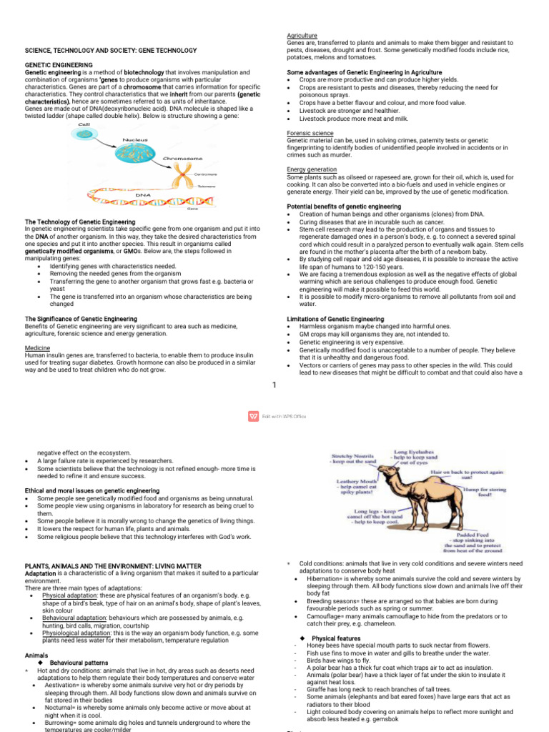 Form 2 Notes Used | PDF | Flowers | Seed