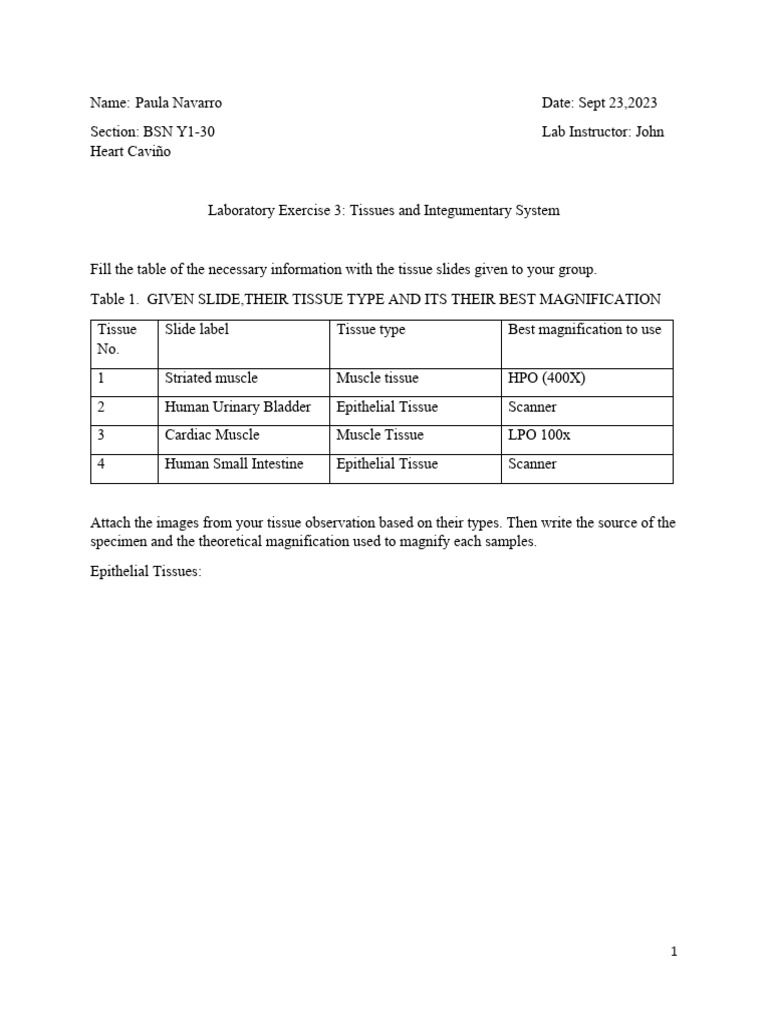 Laboratory Exercise 3 - Worksheet - 239316936 | Download Free PDF ...