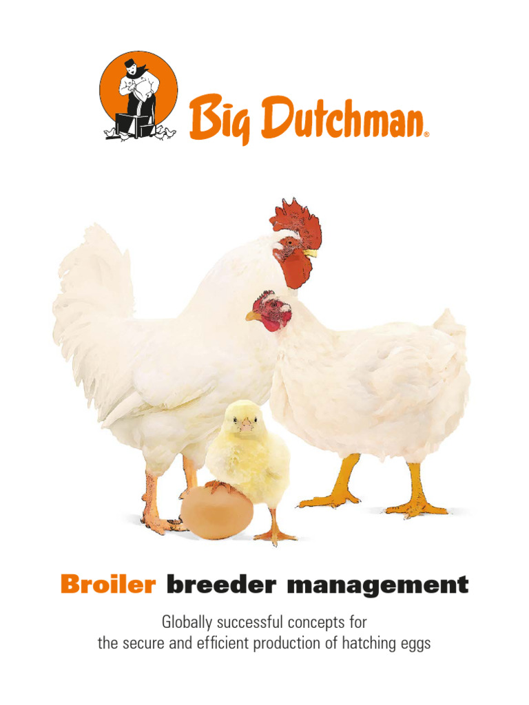Broiler Breeder Management Essentials | PDF