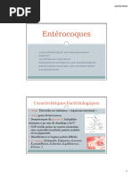 Les Entérocoque | PDF | Microbiologie | Spécialités médicales