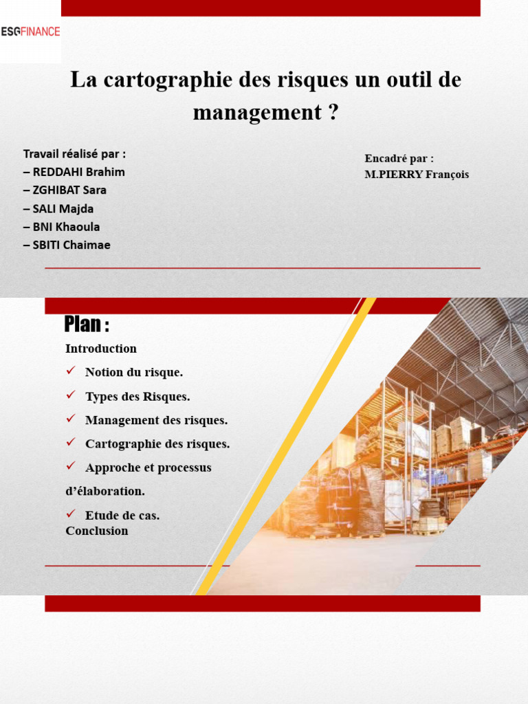 Cartographie Des Risques | PDF | Risque | Gestion des risques