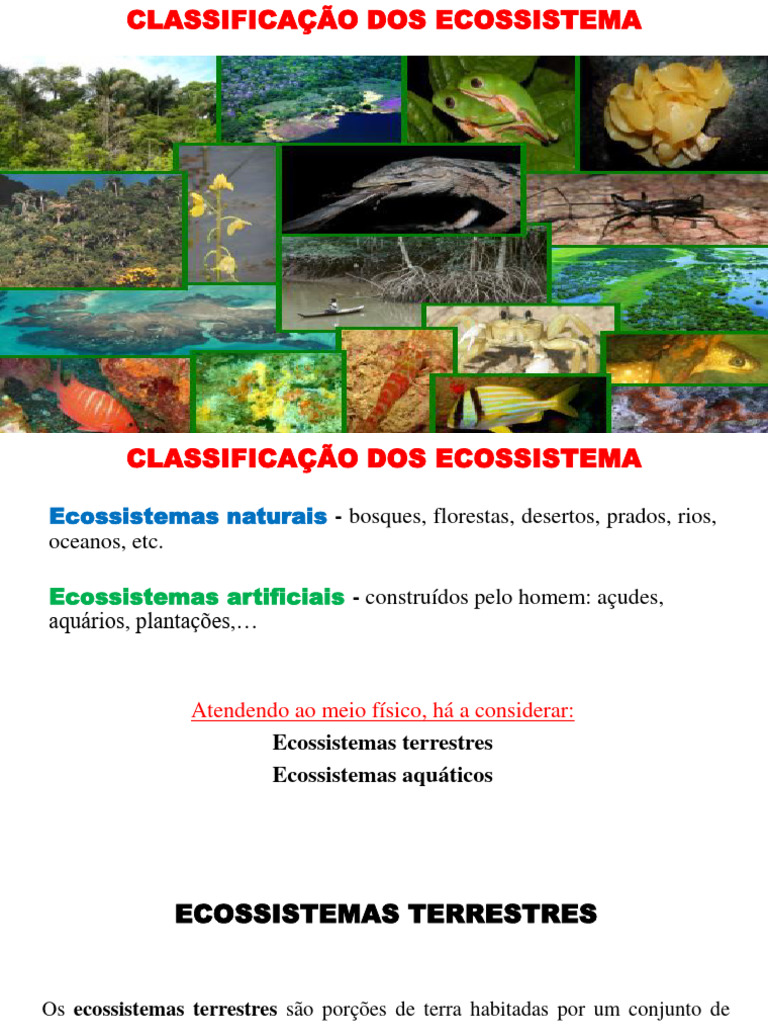 VSWHJX Aula 8 Classificacao Dos Ecossistemas | PDF