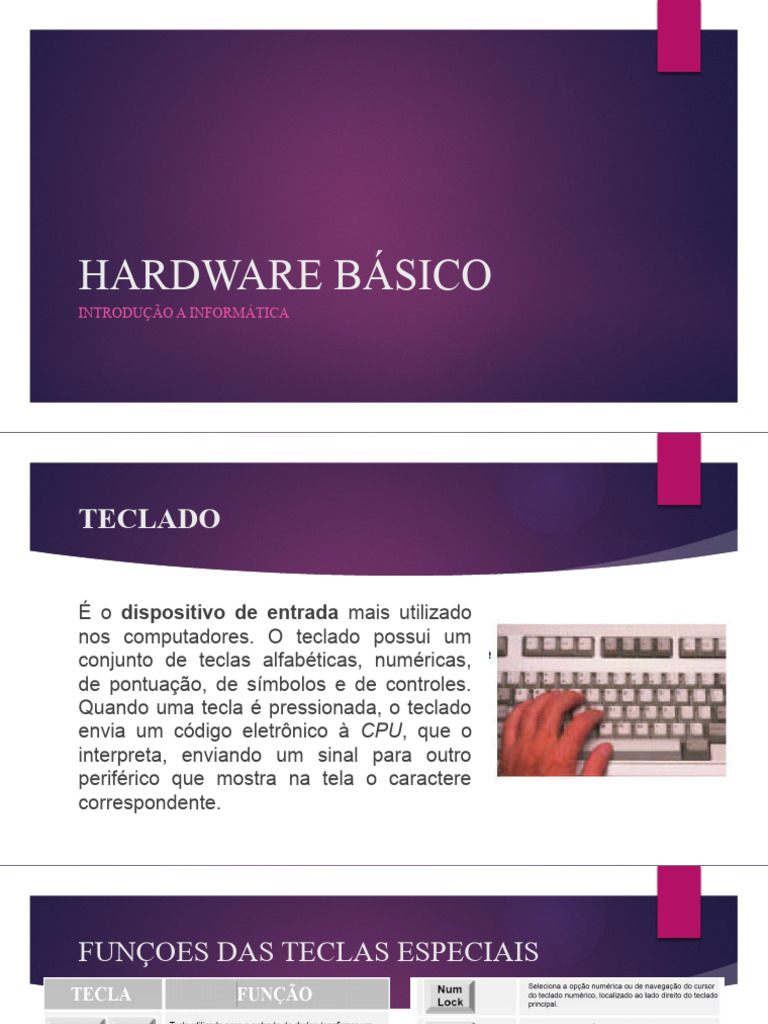 Hardware Básico | PDF | Tecnologia e Engenharia