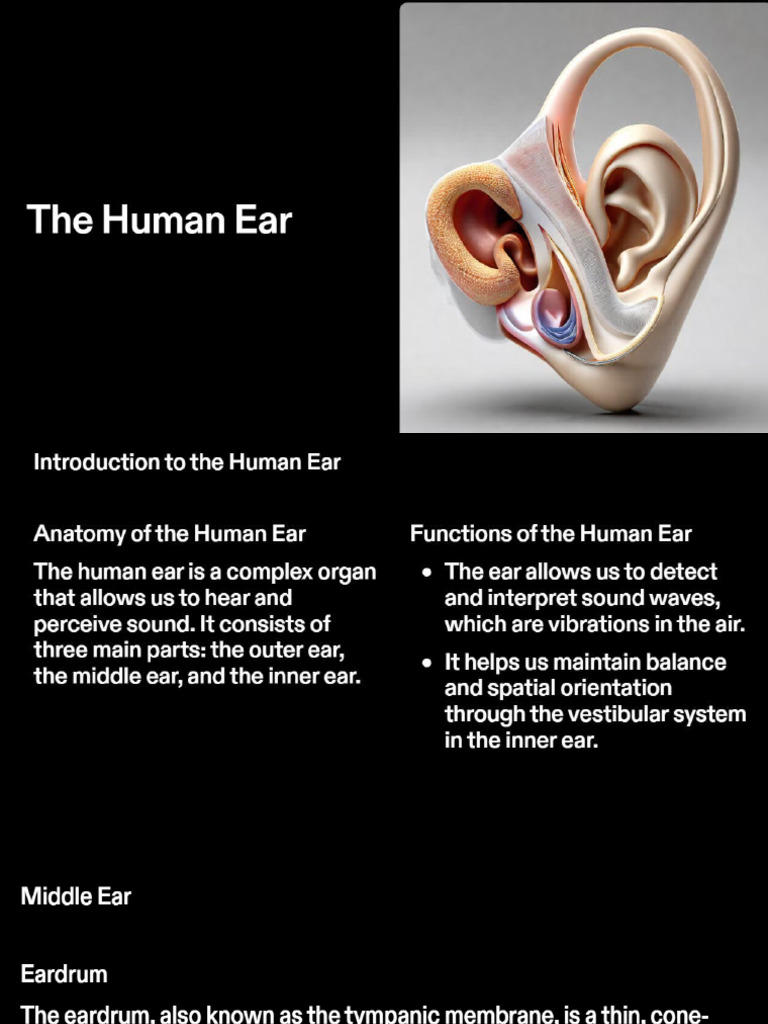 The Human Ear | PDF