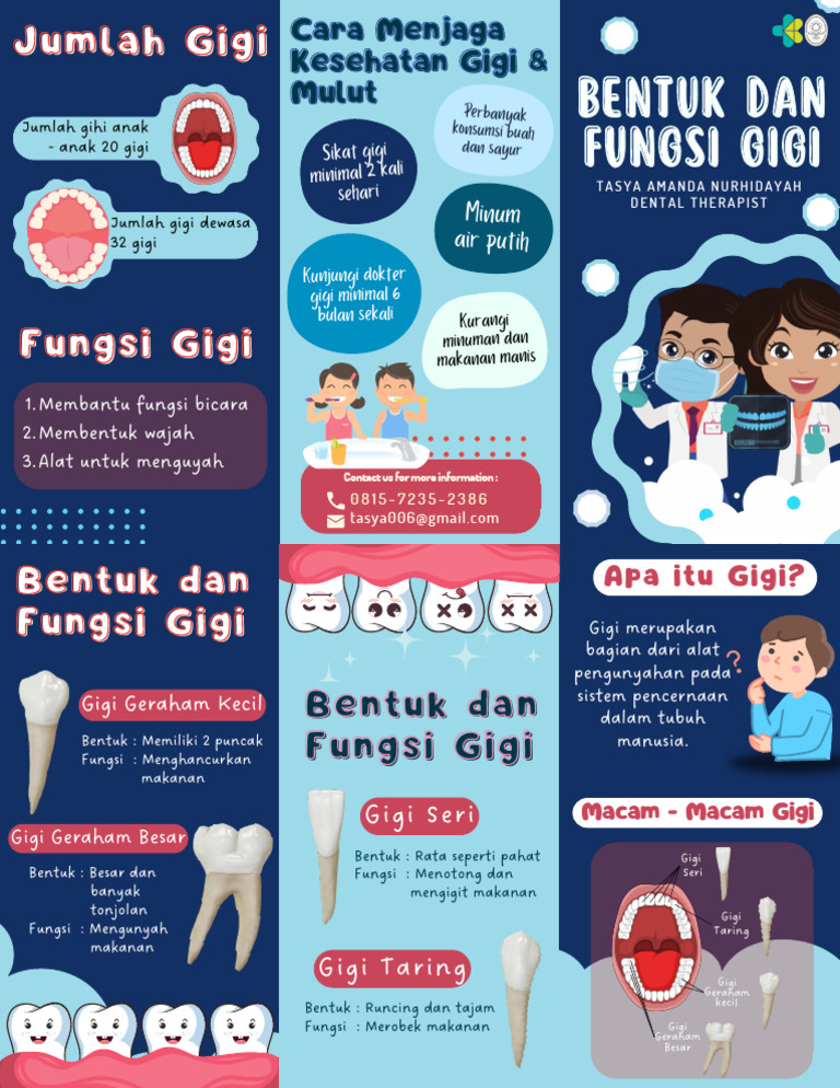 Bentuk Dan Fungsi Gigi | PDF