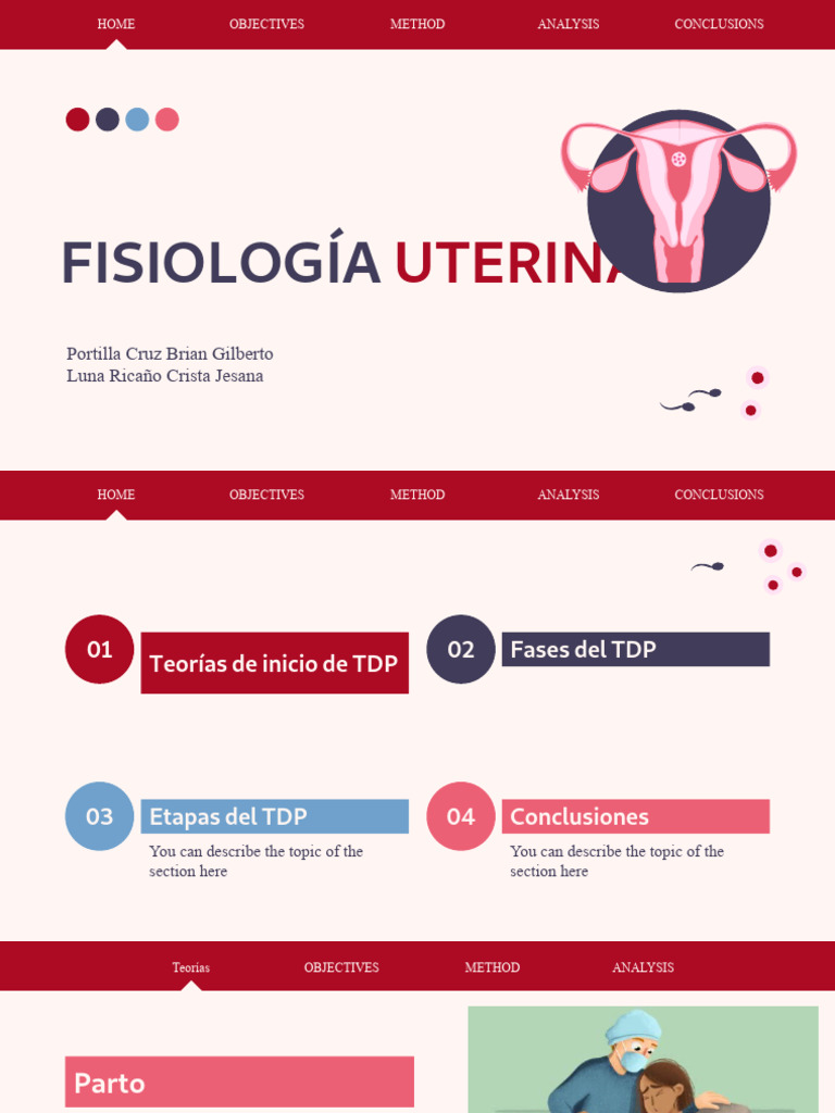 Fisiología Del Trabajo de Parto | PDF | Parto | Contracción muscular