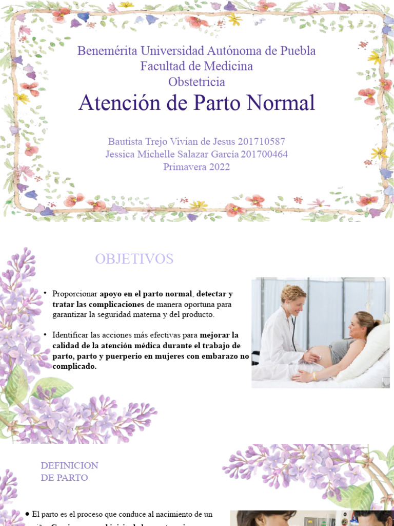 Atencion Parto Normal | PDF | Parto | Especialidades Medicas