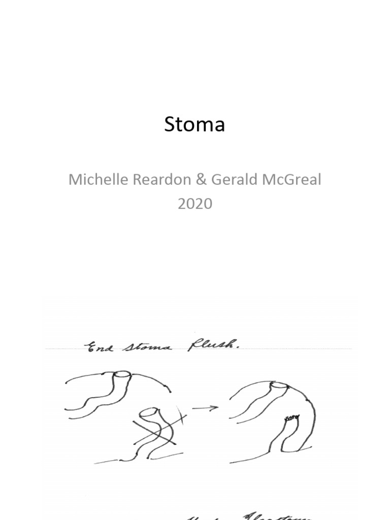 STOMA | PDF