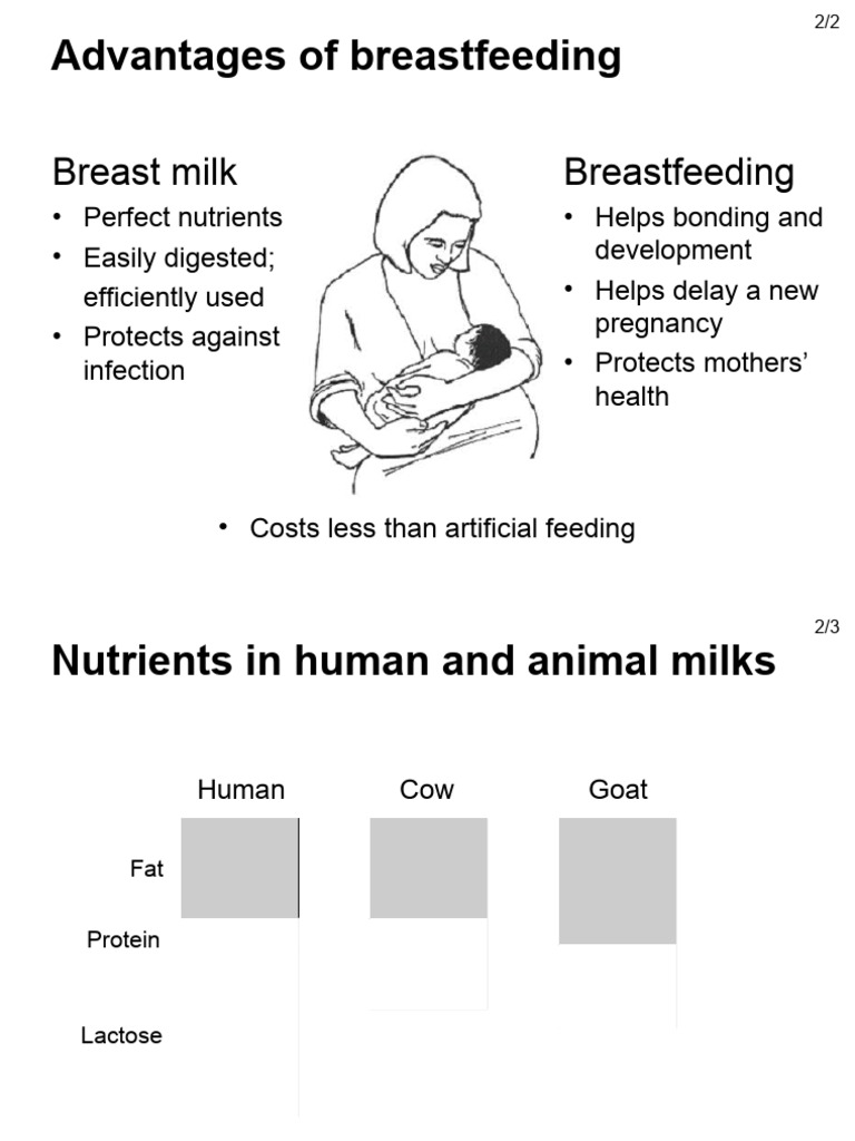 02 Slides Importance of BF | PDF | Breast Milk | Breastfeeding