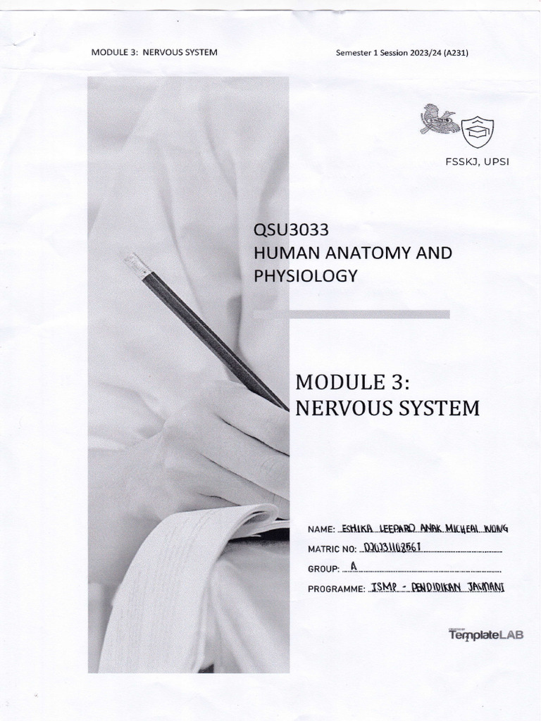 Module 3 Nervous System | PDF