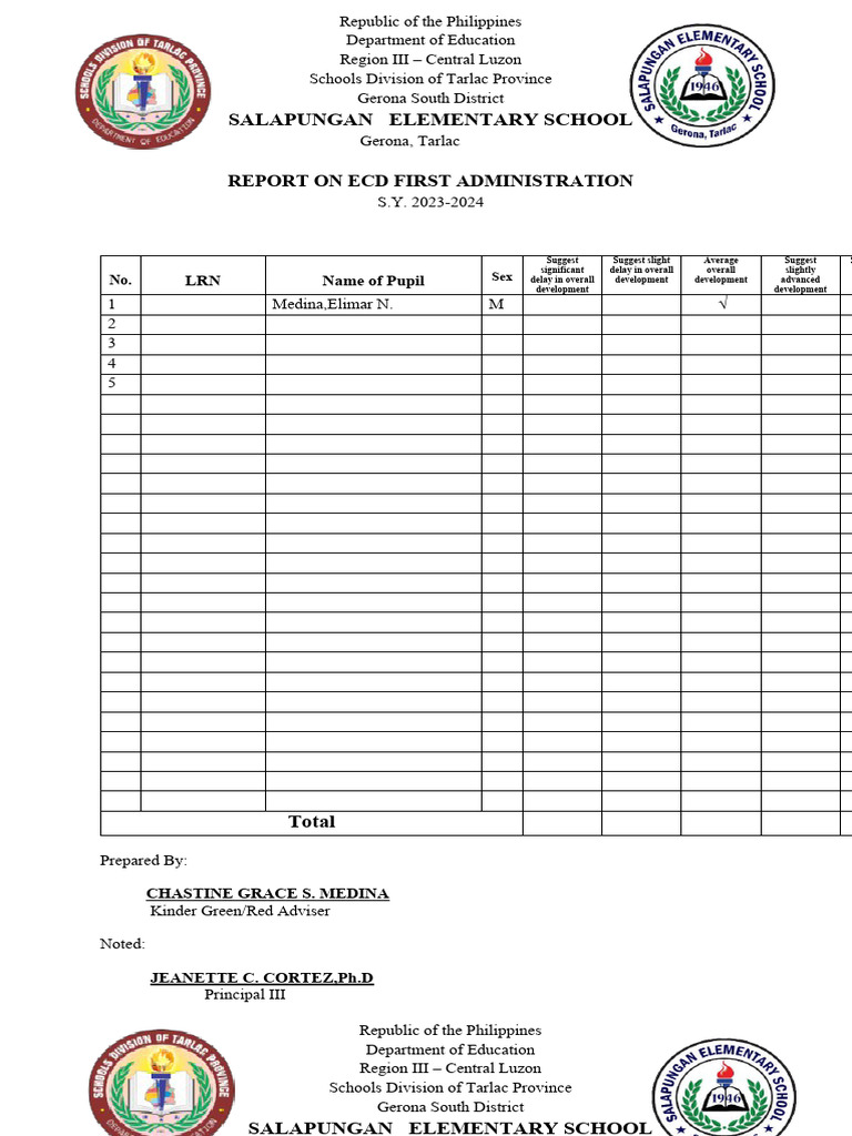 Format Summary Report On Ecd Assessment 2023 | PDF