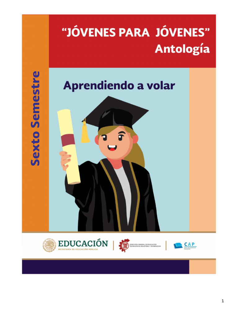 Tutor 6TO APRENDIEDO A VOLAR | PDF