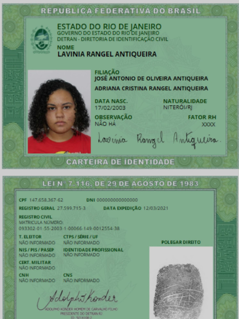 Carteira de Identidade Digital - Lavínia | PDF