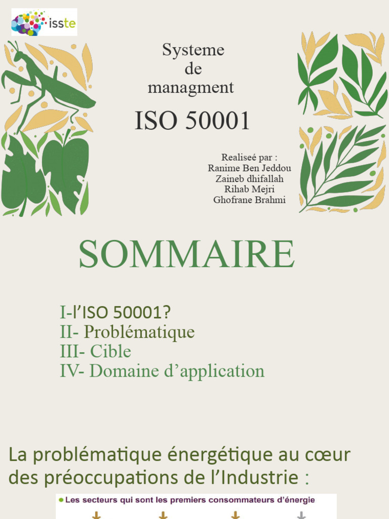 ISO 50001 : Gestion Énergétique Efficace | PDF | Gestion de l'énergie ...