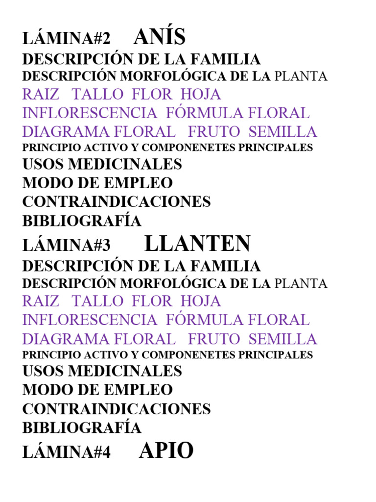 LÁMINA | PDF | Flores | Fruta
