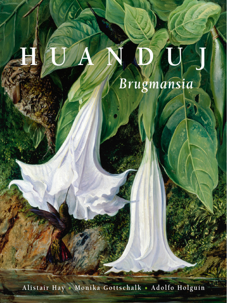 HUANDUJ Brugmansia Spreads | PDF | Cultivar | Botany