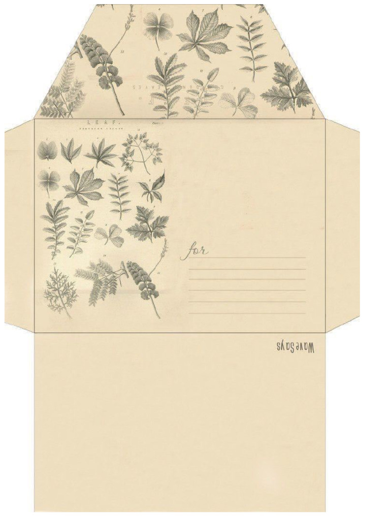 Carta | PDF