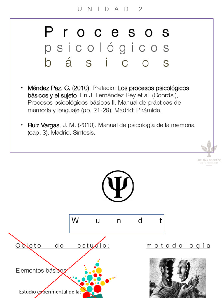 PPT Procesos Basicos | PDF | Mente | Sicología