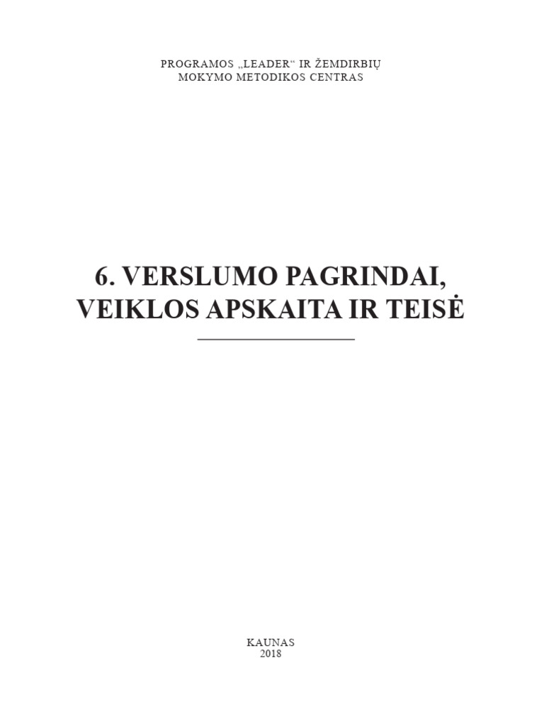 Verslo Pagrindai | PDF