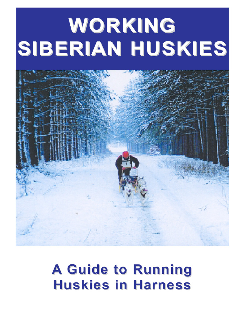 A Guide To Running Huskies in Harness | PDF | Dogs | Experience