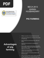 Pig Vaccination Schedule Manual | PDF | Pig | Immunology