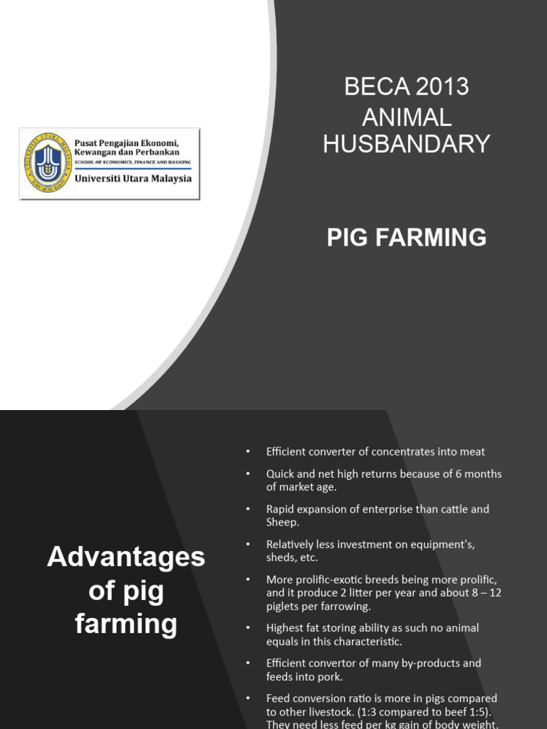 Pig Farming | PDF | Pig | Meat