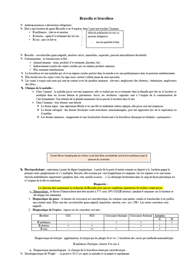 Brucella Et Brucellose | PDF | Médecine clinique | Immunologie
