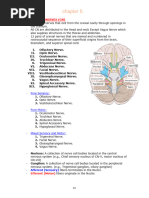 Examples of Physical Characteristics in Humans | PDF | Eye Color | Face